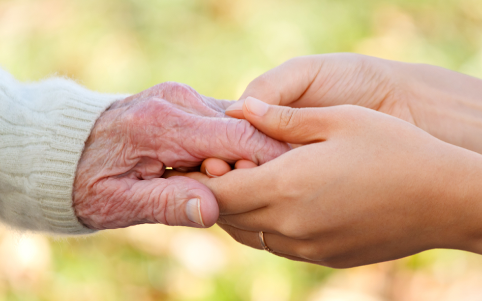 The Anatomy of Care - Zoom! Home Cleaning, Maid Cleaning Service ...